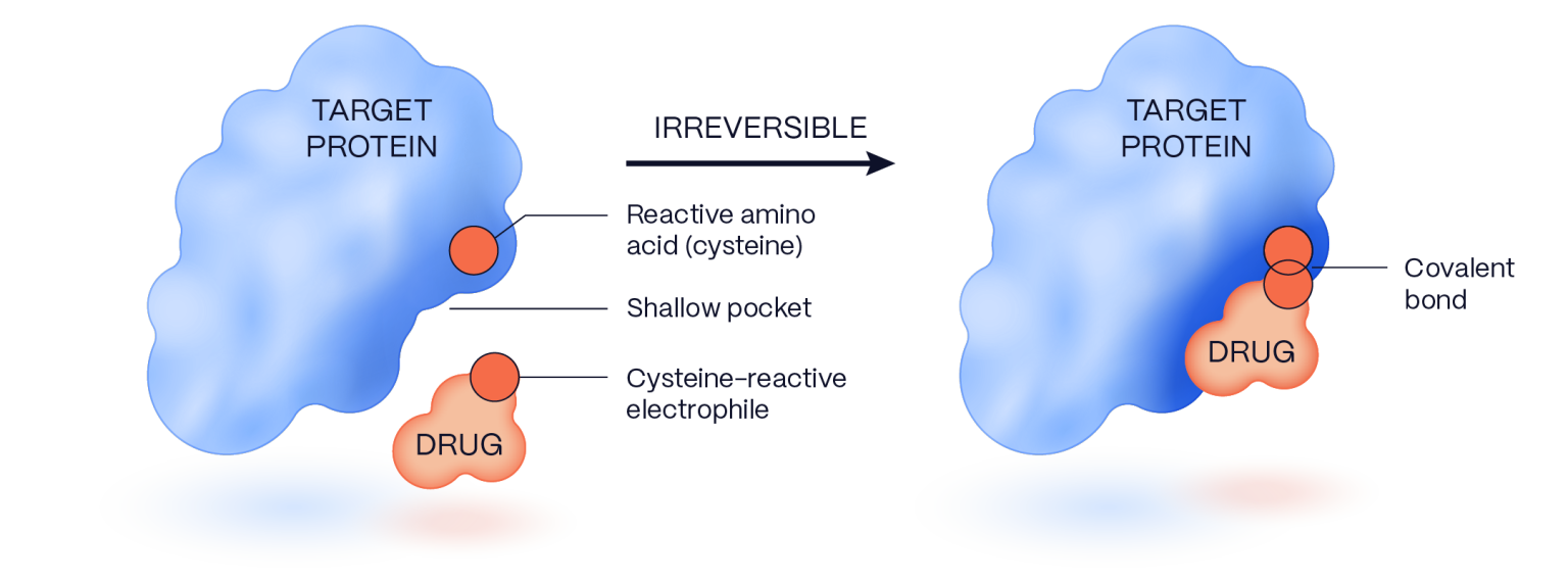 Science & Platform — Vividion Therapeutics